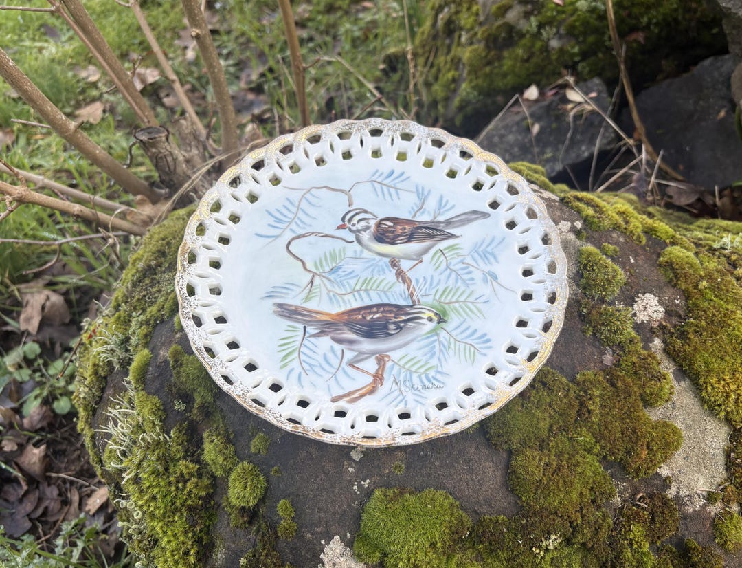 Vintage Ucagco 8" Hand-painted Reticulated Wall Decor Plate W/ Two ...