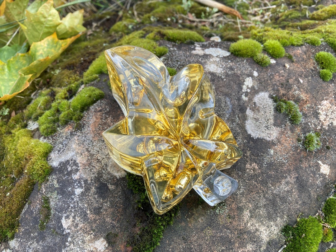 Vintage Lucite Leaf-shaped Liquid-filled Paperweight / Pen - Etsy