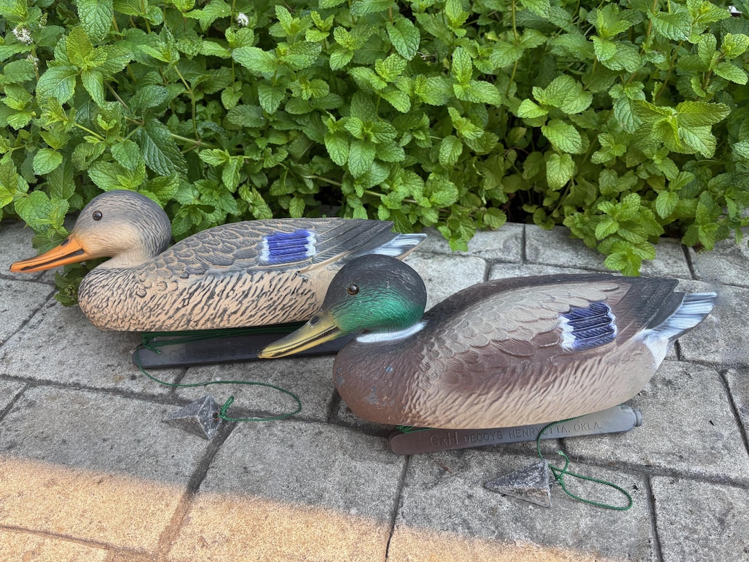 Vintage G & H Life Size Hand Painted 16" Mid-century Plastic Duck ...