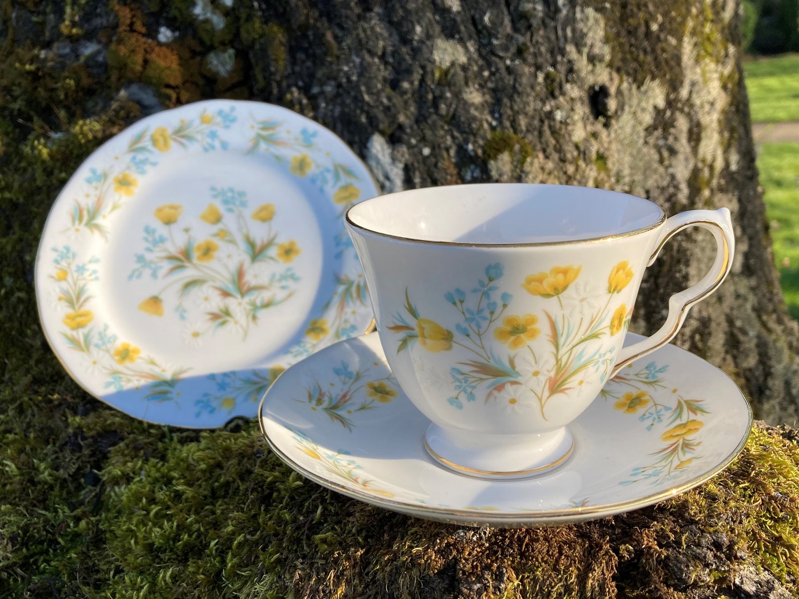 Vintage Colclough angela Teacup Saucer & Side - Etsy