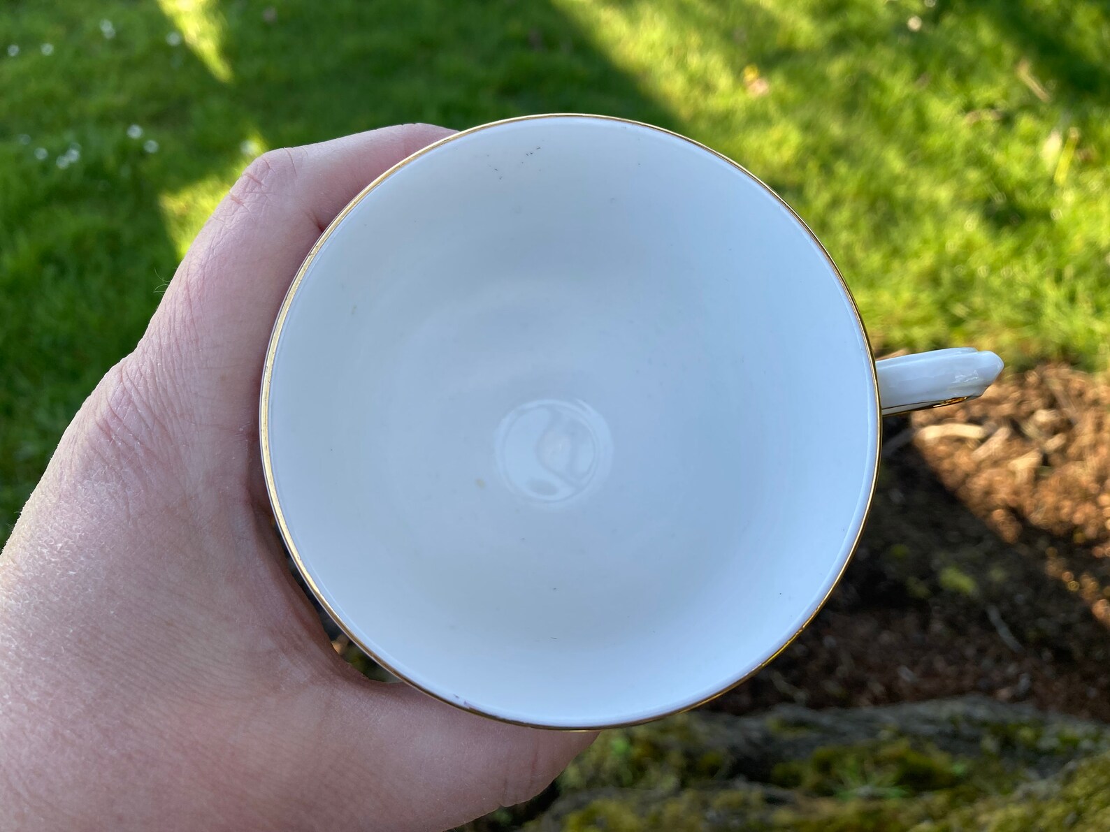 Vintage Colclough angela Teacup Saucer & Side | Etsy