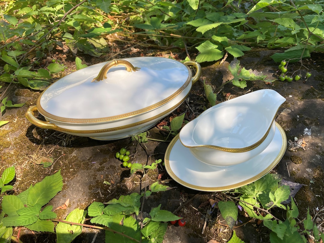 Vintage Turin Bavaria Porcelain Gravy Boat OR Covered Serving Dish ...