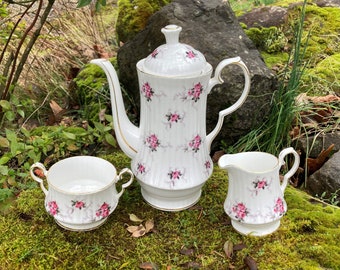 Vintage Chocolate Coffee Set Windsor Rose Princess House - Etsy