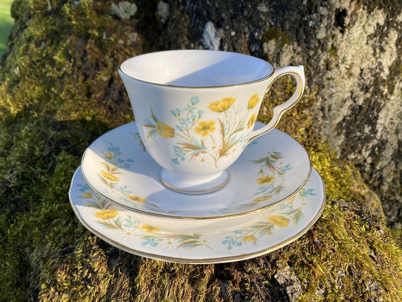 Vintage Colclough angela Teacup Saucer & Side | Etsy