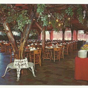 Apple Grove Inn, Medina, NY 1960's Postcard - Etsy