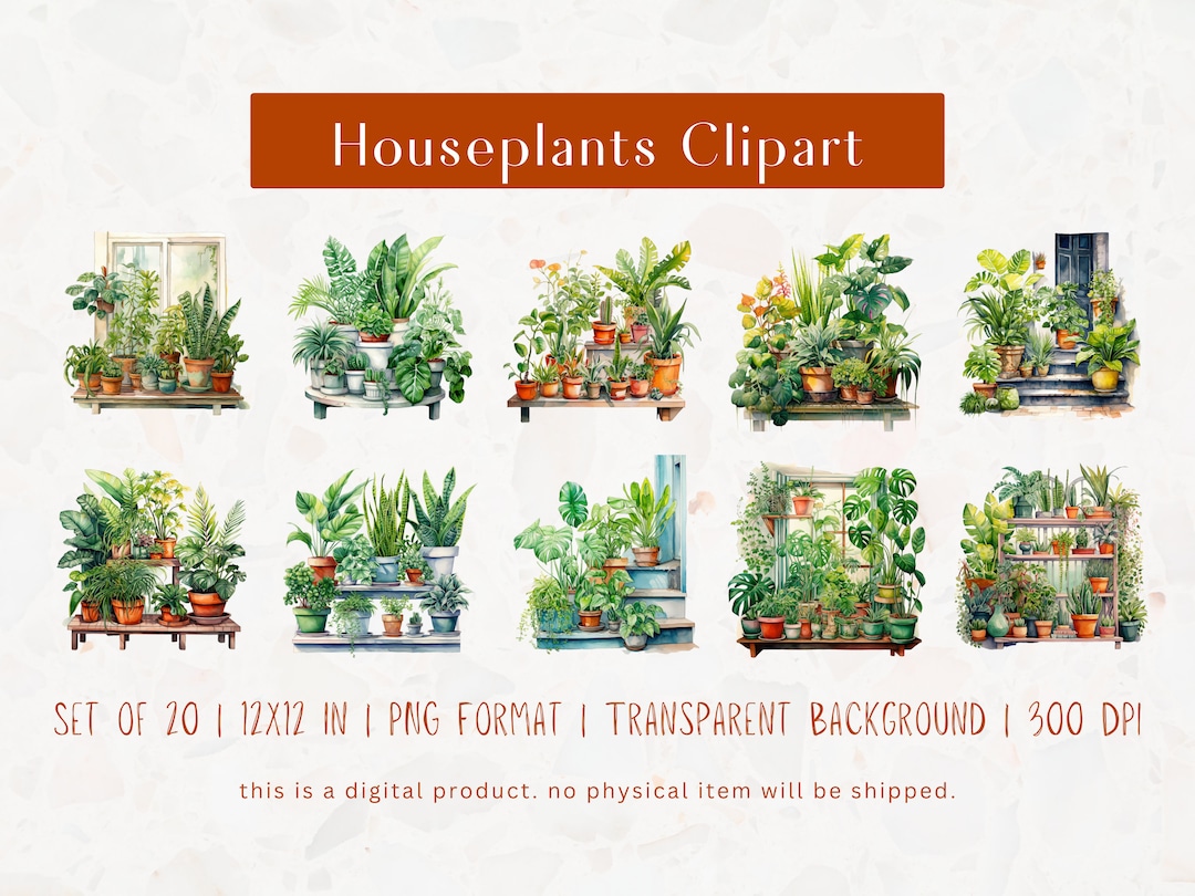 Watercolor Houseplants Clipart Set - 20 PNG Files, 300 DPI - Indoor ...