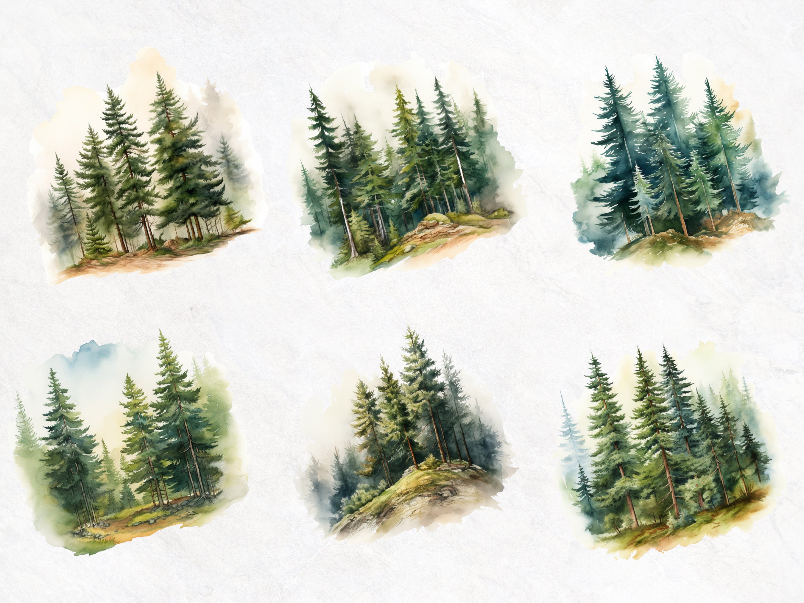 Watercolor Pine Trees Clipart Set - 20 PNG Files, 300 DPI - Nature ...