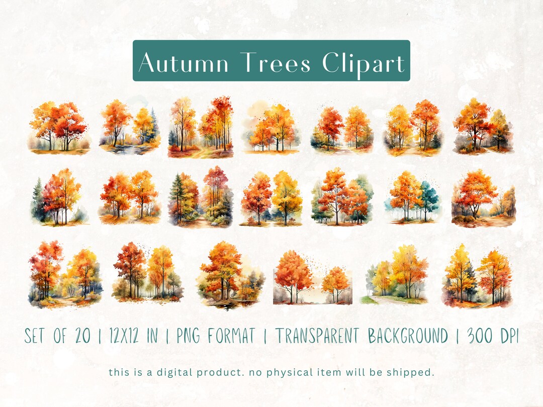 Autumn Trees Watercolor Clipart Set - 20 PNG Files, 300 DPI - Fall ...