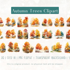 Autumn Trees Watercolor Clipart Set - 20 PNG Files, 300 DPI - Fall ...