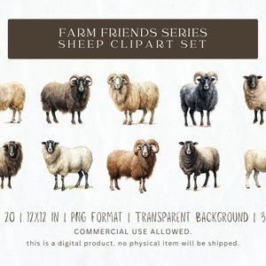 Watercolor Sheep Clipart - 20 PNG Files, 12x12 Inches, 300 DPI ...