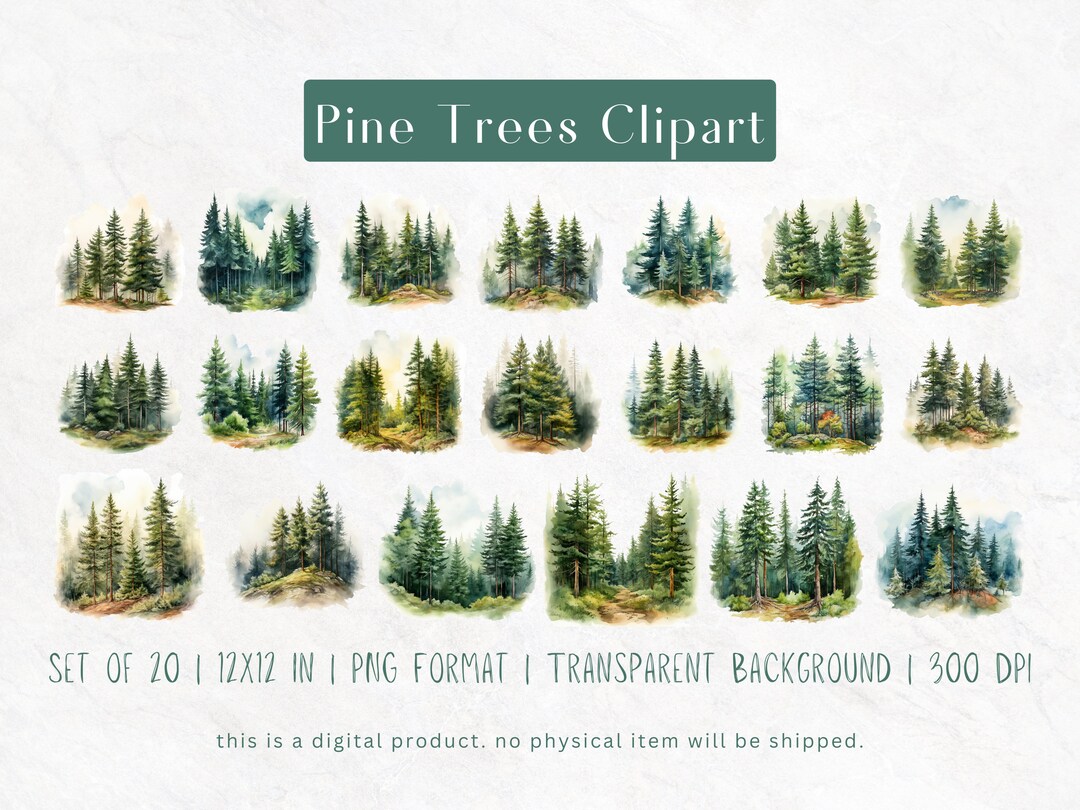 Watercolor Pine Trees Clipart Set - 20 PNG Files, 300 DPI - Nature ...