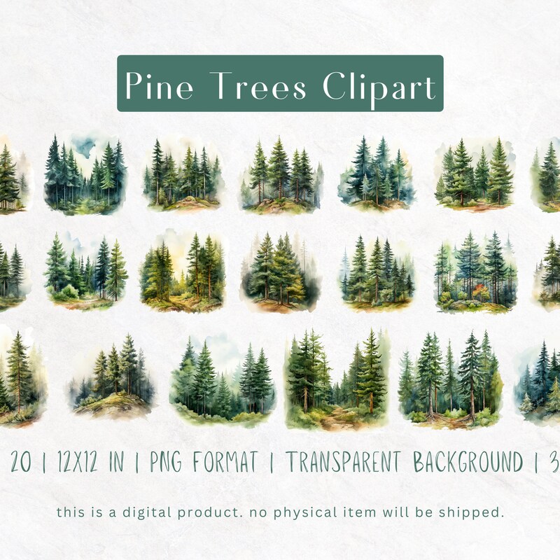 Pine Tree - Etsy