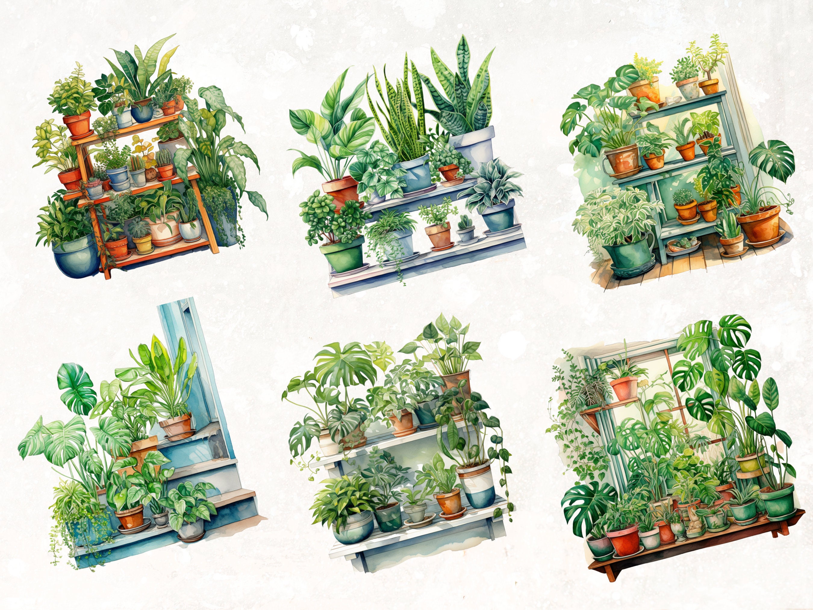 Watercolor Houseplants Clipart Set - 20 PNG Files, 300 DPI - Indoor ...