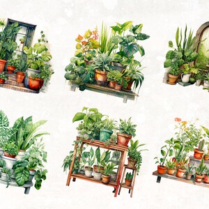 Watercolor Houseplants Clipart Set - 20 PNG Files, 300 DPI - Indoor ...