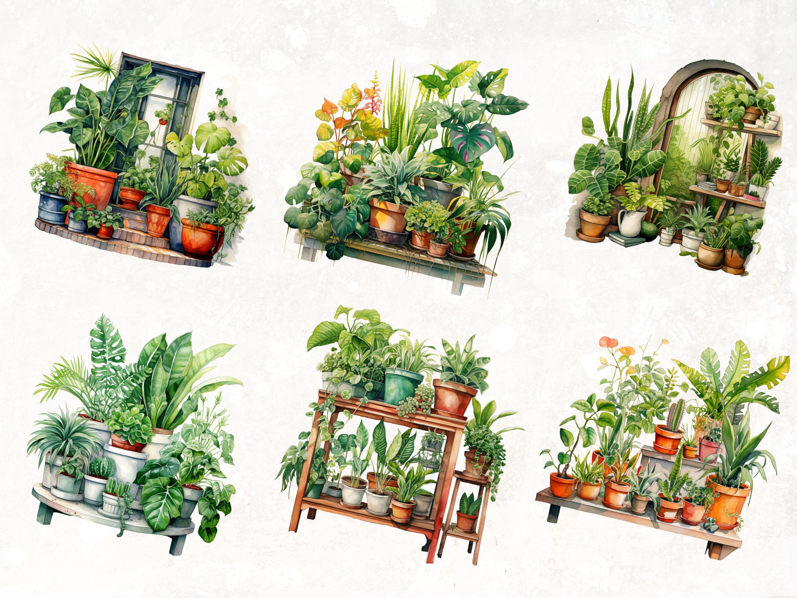 Watercolor Houseplants Clipart Set - 20 PNG Files, 300 DPI - Indoor ...