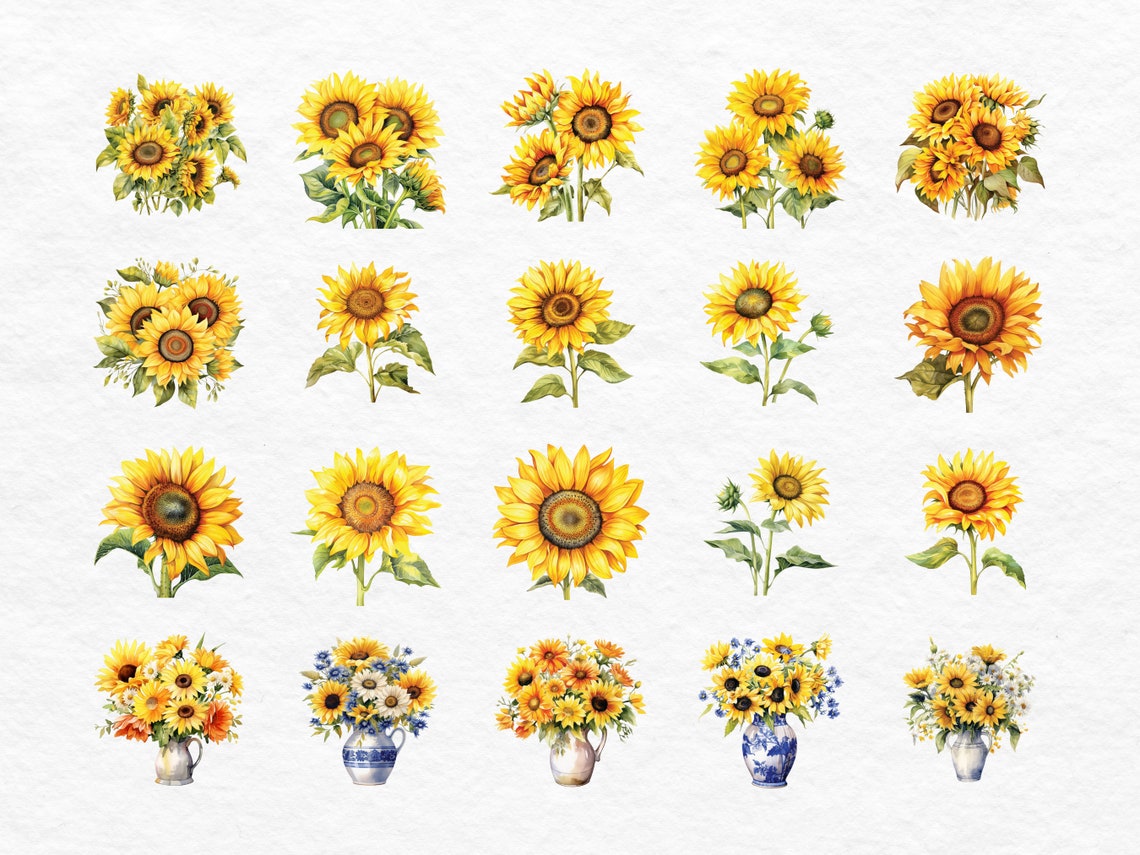 Sunflower Clipart Bundle - 62 High-resolution PNG & JPG Images, High ...