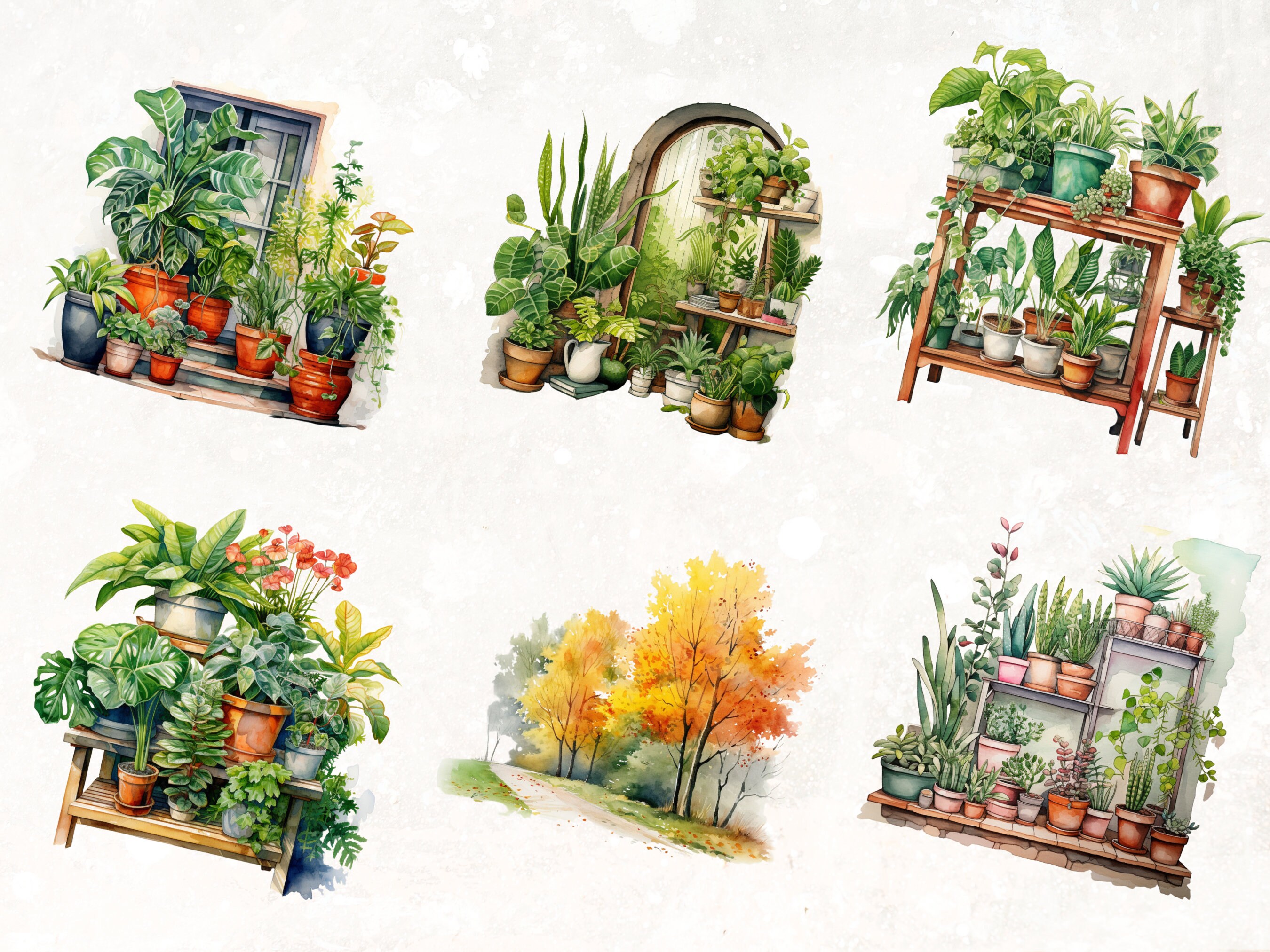 Watercolor Houseplants Clipart Set 20 PNG Files 300 DPI - Etsy Australia