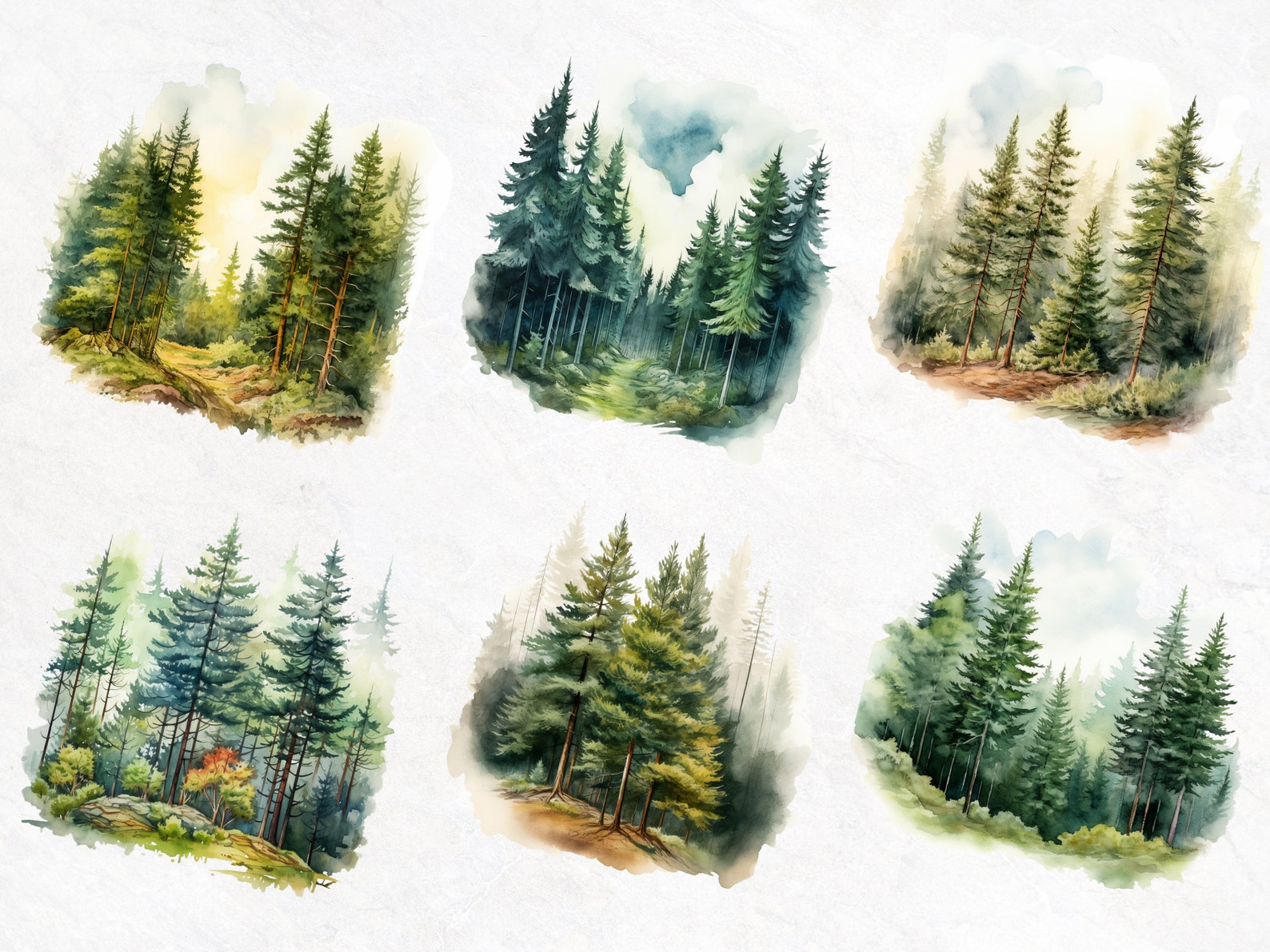 Watercolor Pine Trees Clipart Set - 20 PNG Files, 300 DPI - Nature ...