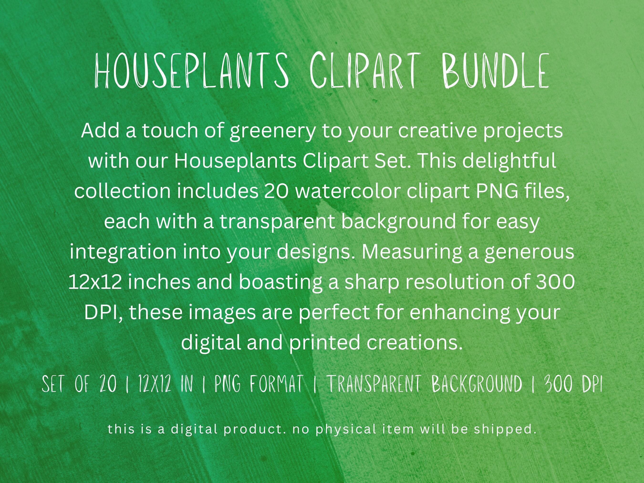 Watercolor Houseplants Clipart Set - 20 PNG Files, 300 DPI - Indoor ...