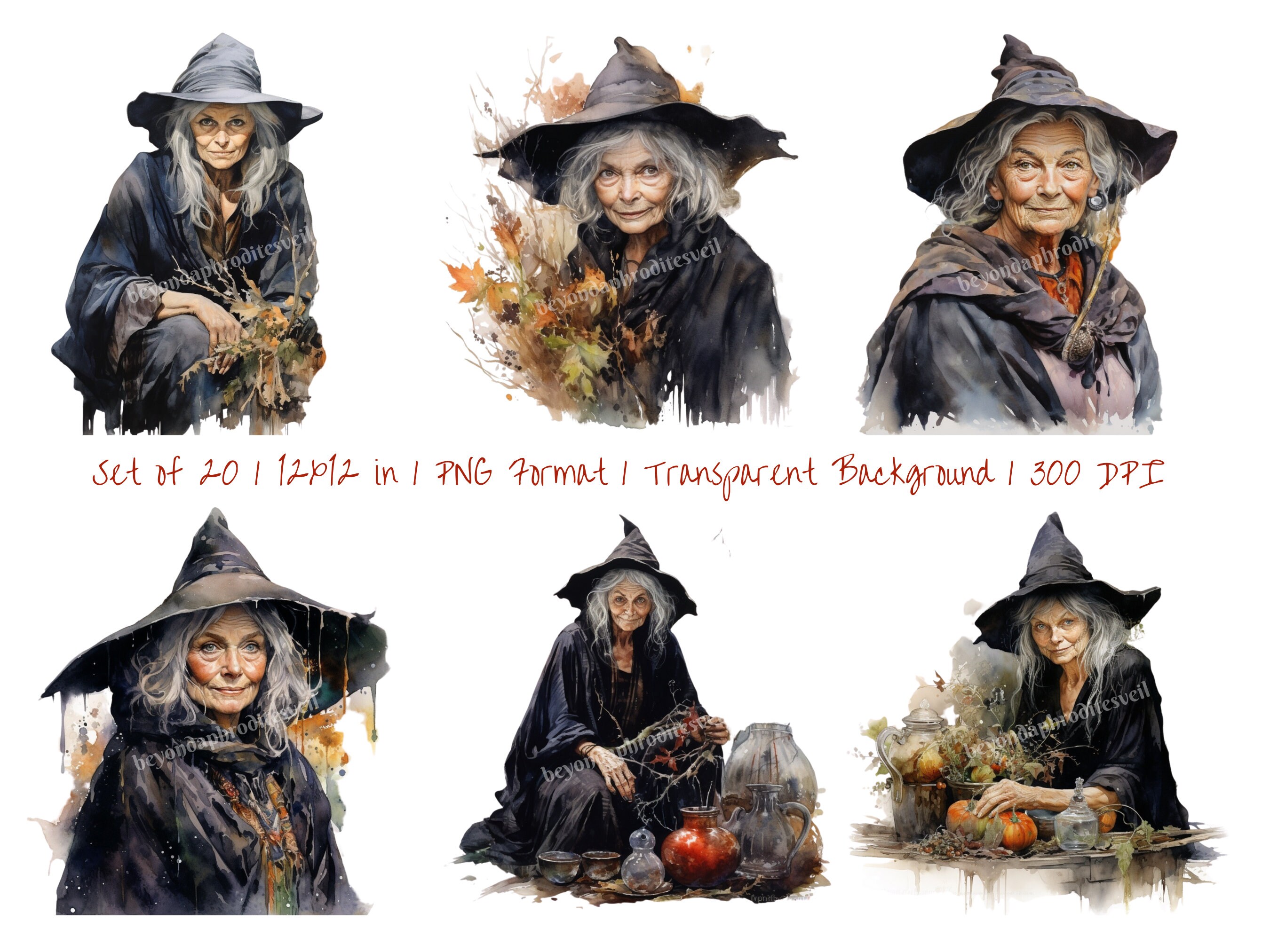 Wise Witches Clipart Set 20 Transparent PNG Files, 12x12 Inches, 300 ...