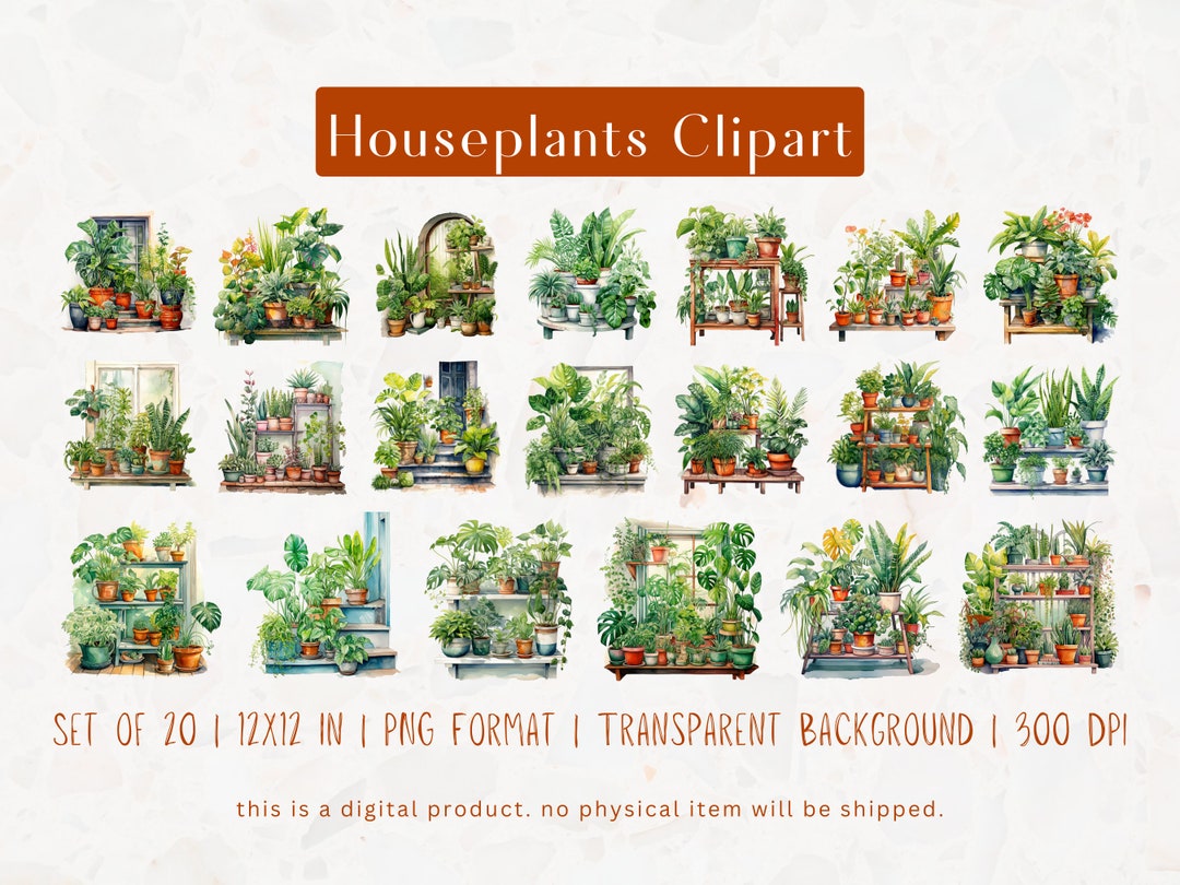 Watercolor Houseplants Clipart Set 20 PNG Files 300 DPI - Etsy