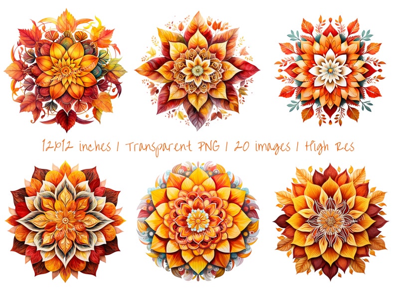 Fall Mandalas Clipart Set 20 PNG Files, 12x12 Inches, 300 DPI Instant ...