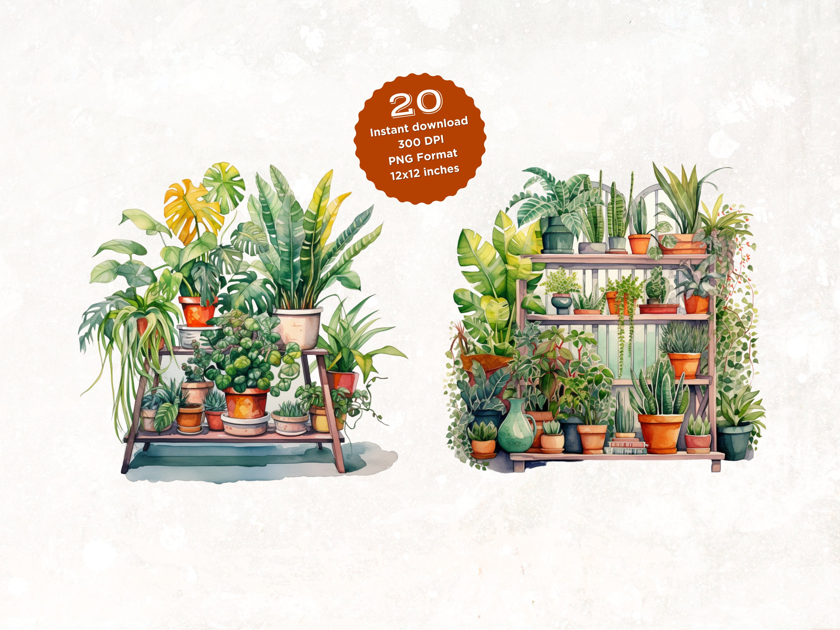 Watercolor Houseplants Clipart Set - 20 PNG Files, 300 DPI - Indoor ...