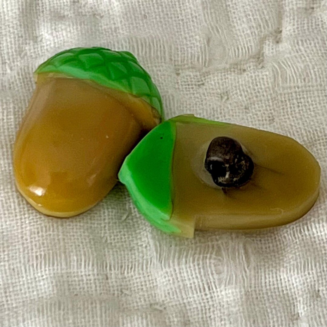Antique Celluloid Acorn Buttons - Etsy
