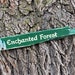 Enchanted Forest Wooden Directional Sign / Hand Painted Distressed Wood ...