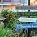 Hand Painted Distressed Wooden Directional Signs, Fantasy Directional ...