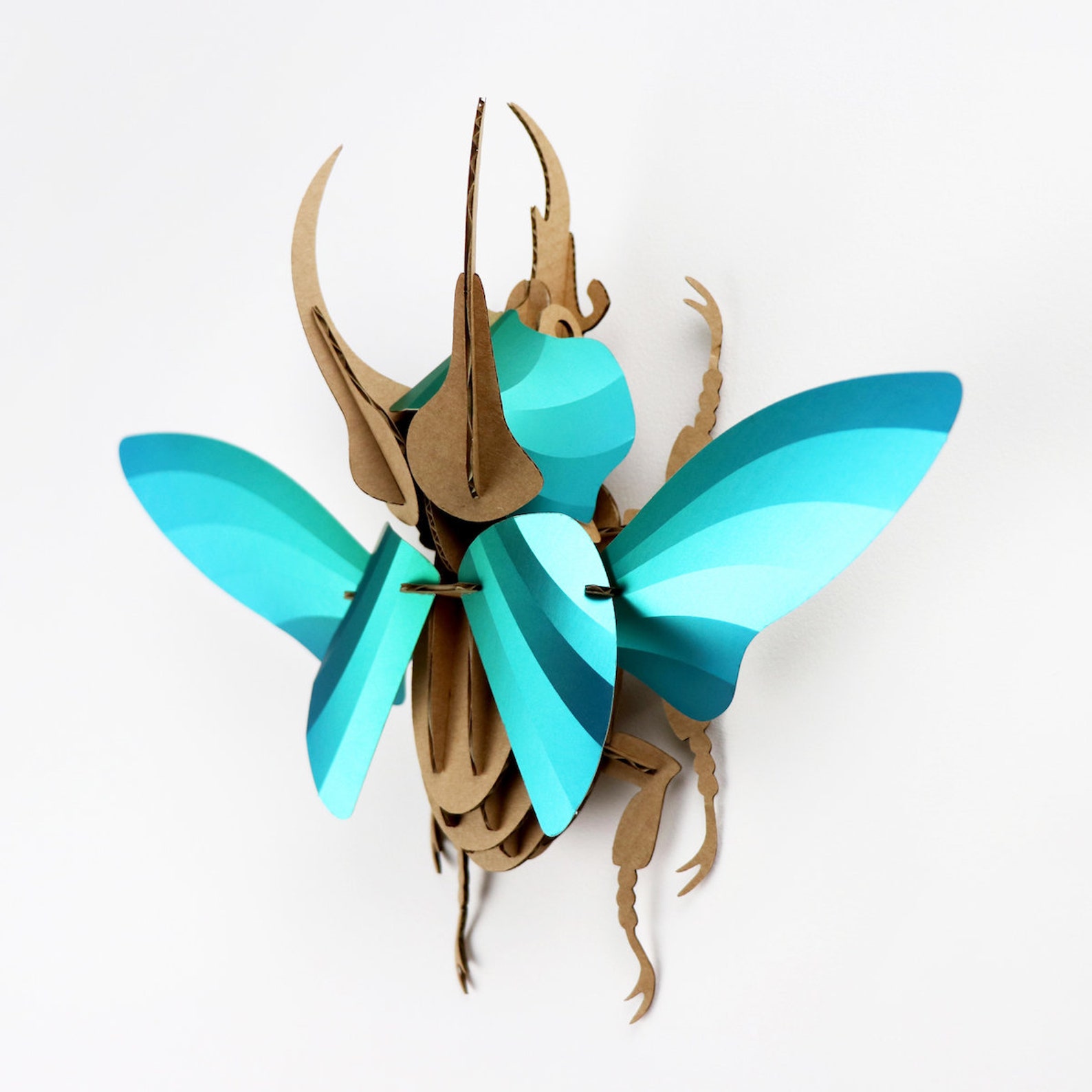 3D Atlas Beetle Kit - Etsy