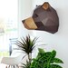Papercraft Grizzly Kit - Etsy