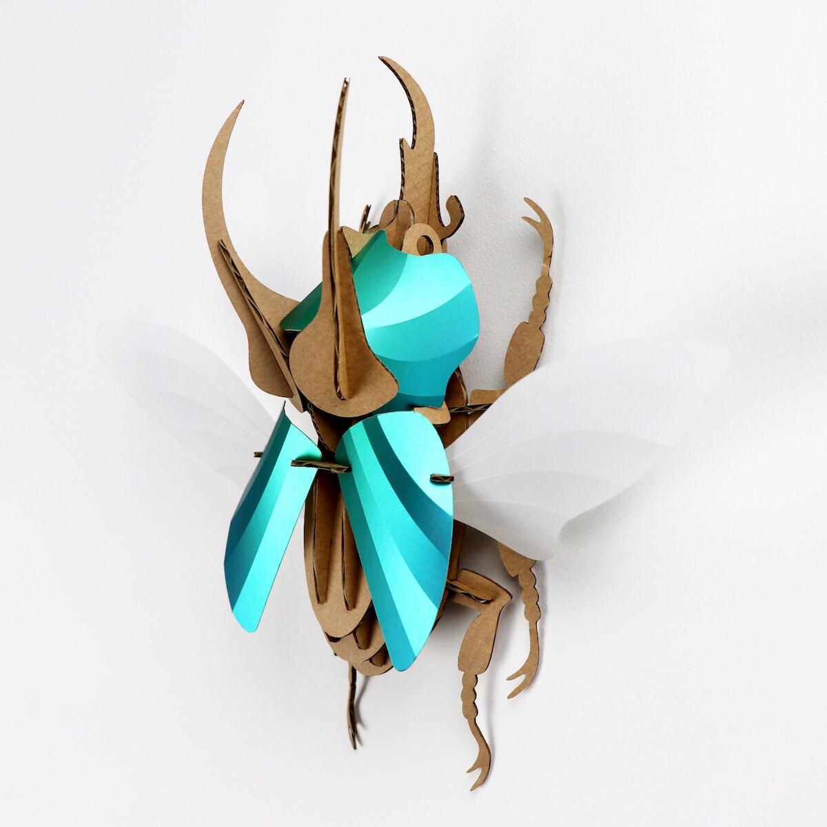 3D Atlas Beetle Kit - Etsy UK