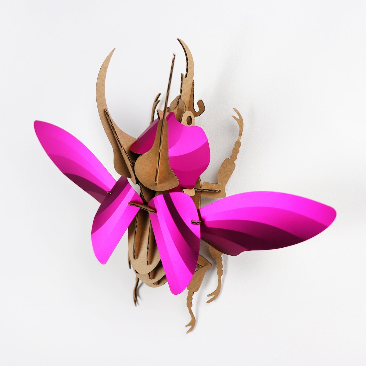 3D Atlas Beetle Kit - Etsy UK