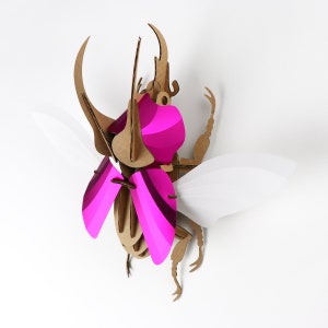 3D Atlas Beetle Kit - Etsy