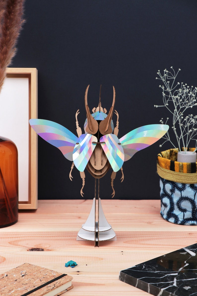 3D Atlas Beetle Kit - Etsy