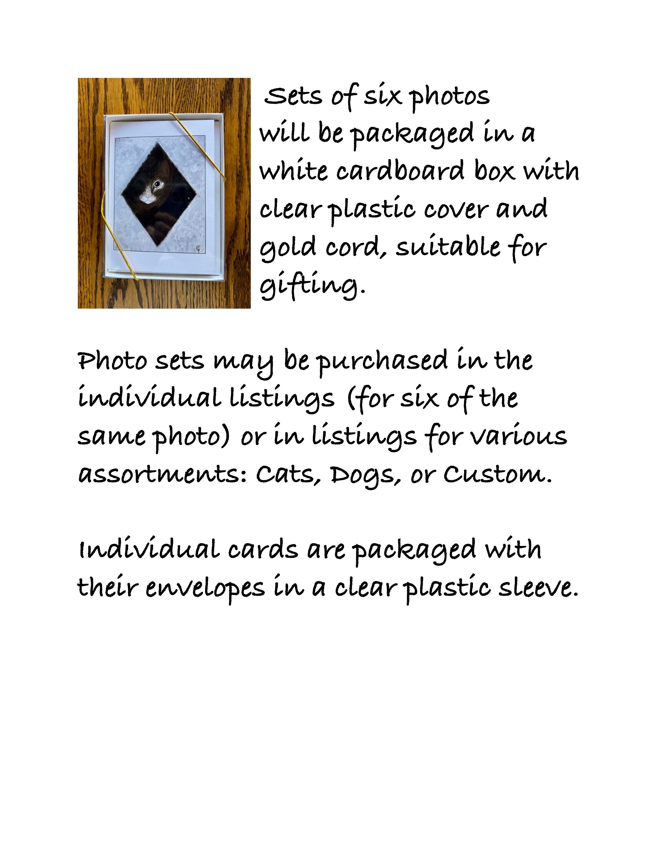 RIBBIT (tree Frog) - Greeting Cards and Prints From Original Oil ...