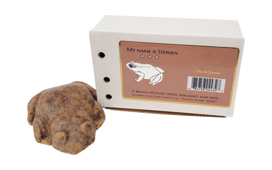 Citrus With a Coffee Scrub, Vegan Frog Shaped Soap - Etsy