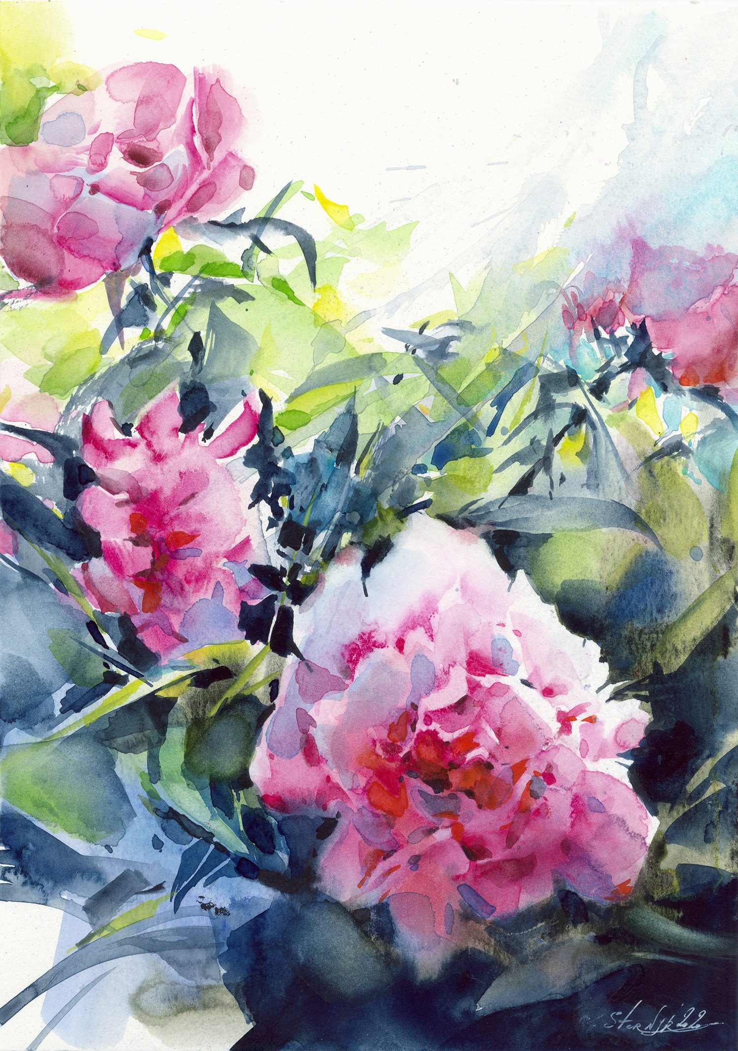 Peony Art Print of Watercolor - Peony Watercolor Painting Print ...