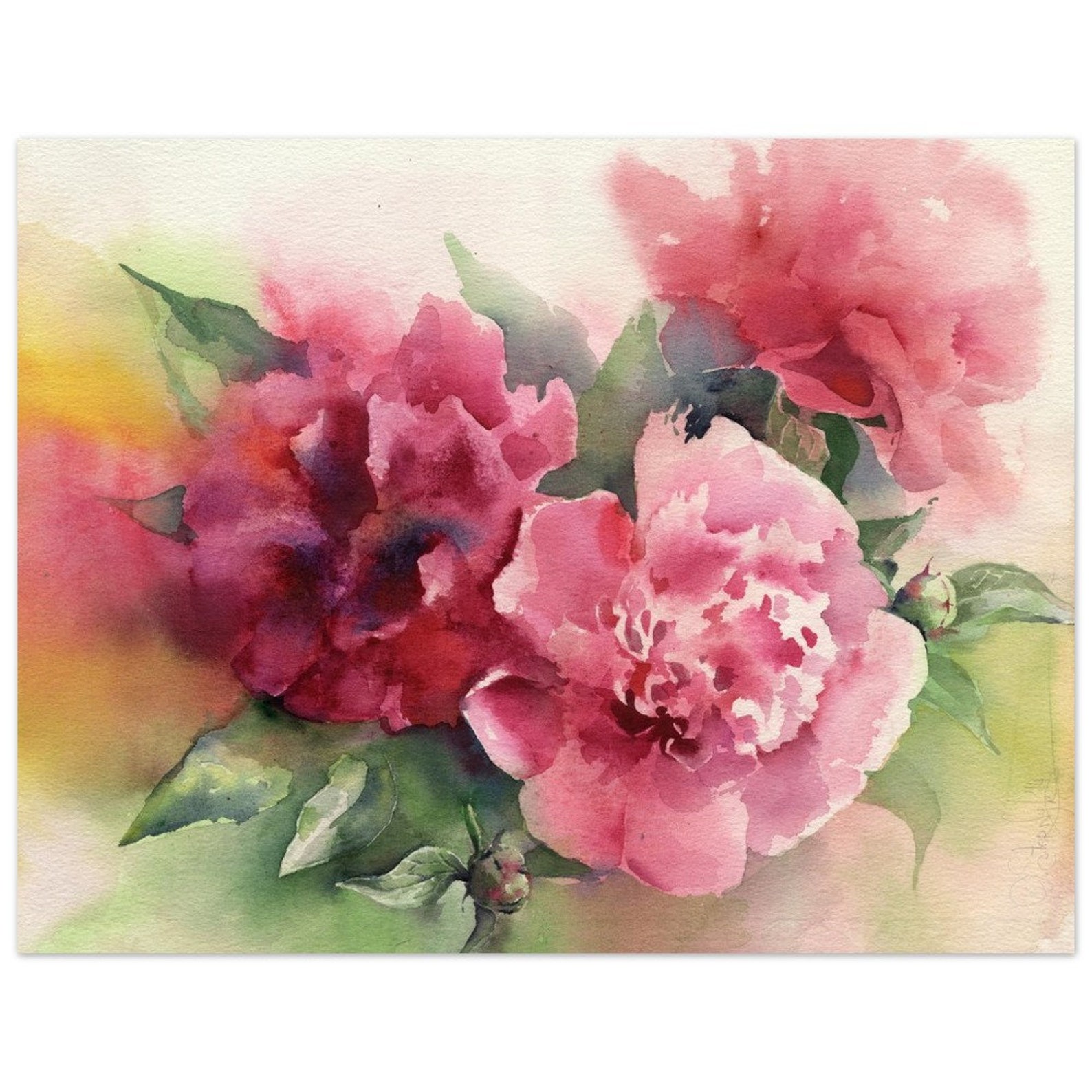 Peony Art Print Watercolor - Framed Peony Painting Print Home Decor ...