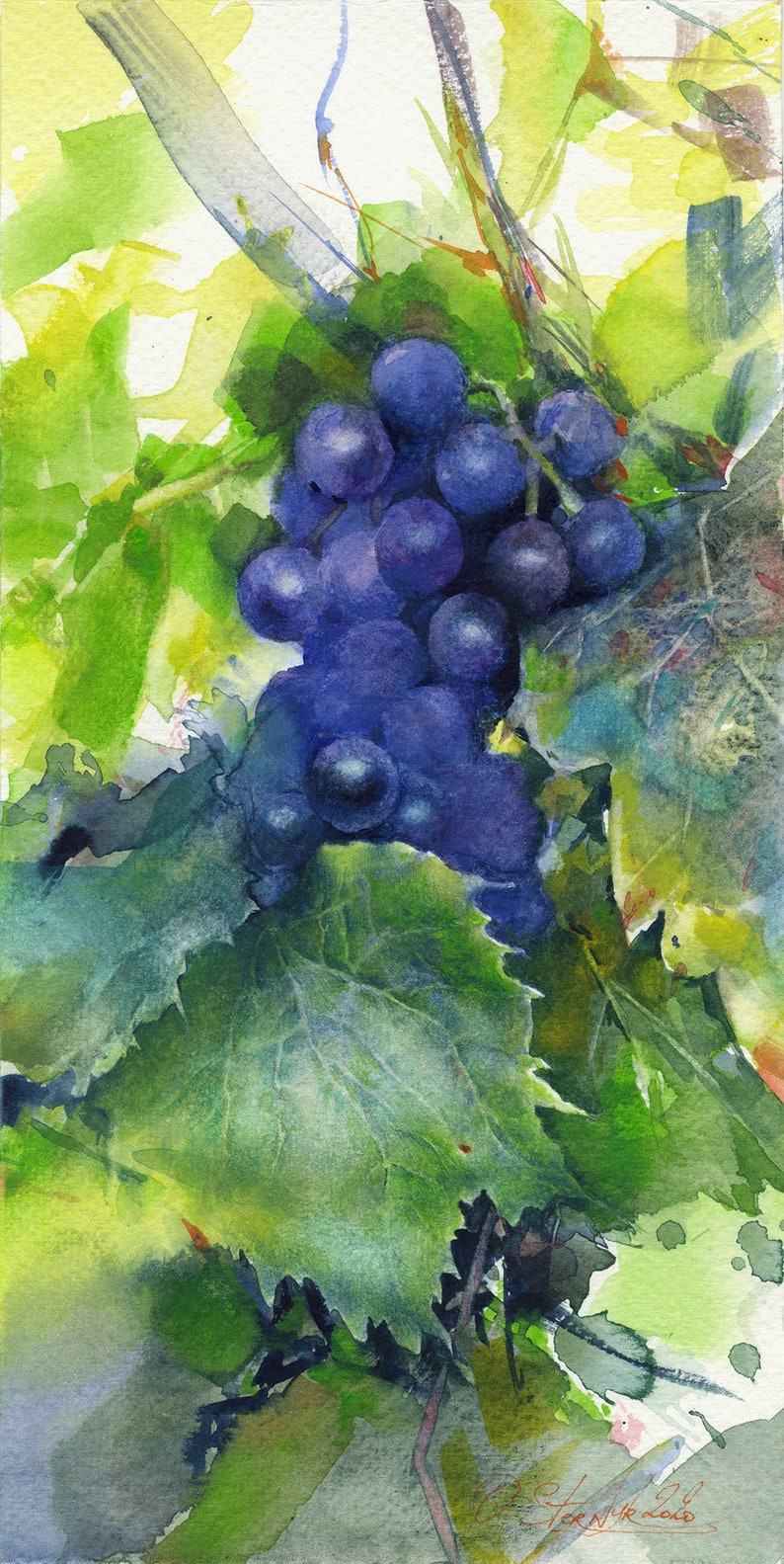 Grape Art Print of Watercolor Painting Blue Grape Hanging - Etsy UK
