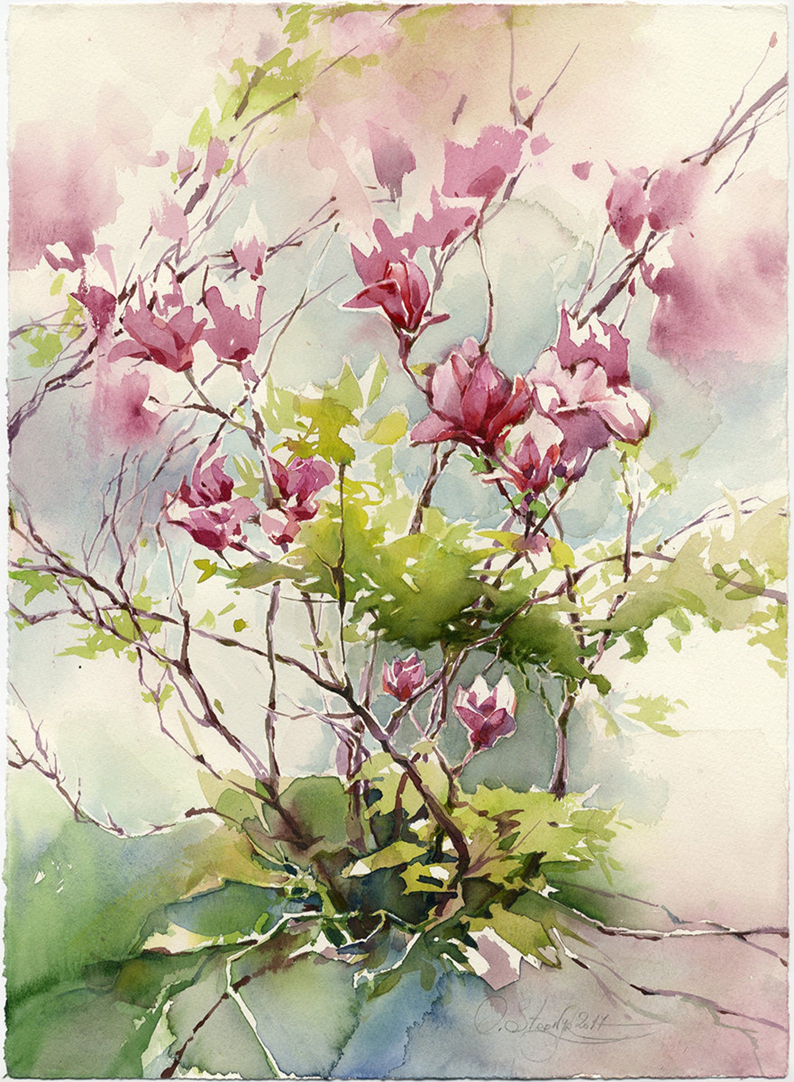 Print of Pink Magnolia Watercolor - Magnolia Art Print - Purple Flower ...