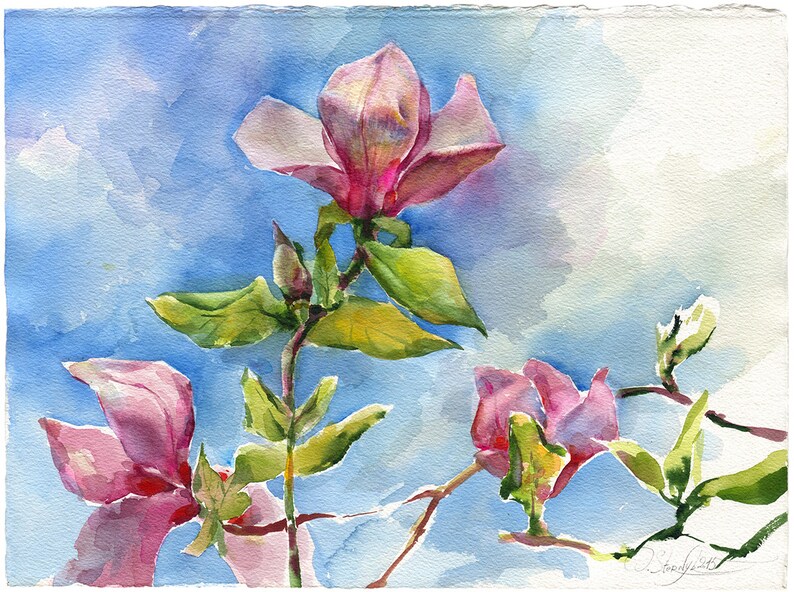 Pink Magnolia Print of Watercolor Painting - Purple Flower Painting ...