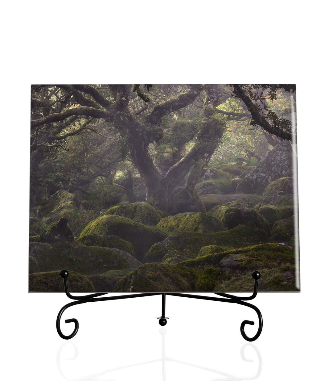 Forest Landscape Ceramic Art Tile, Limited Edition Home Decor - Etsy