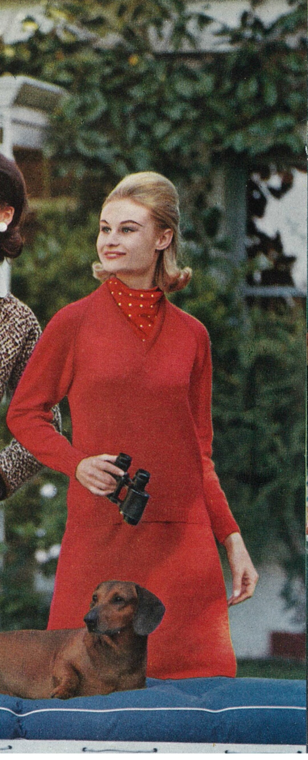Sweater With V or Crew Neck Pattern AND Skirt PDF Vintage Knitting ...
