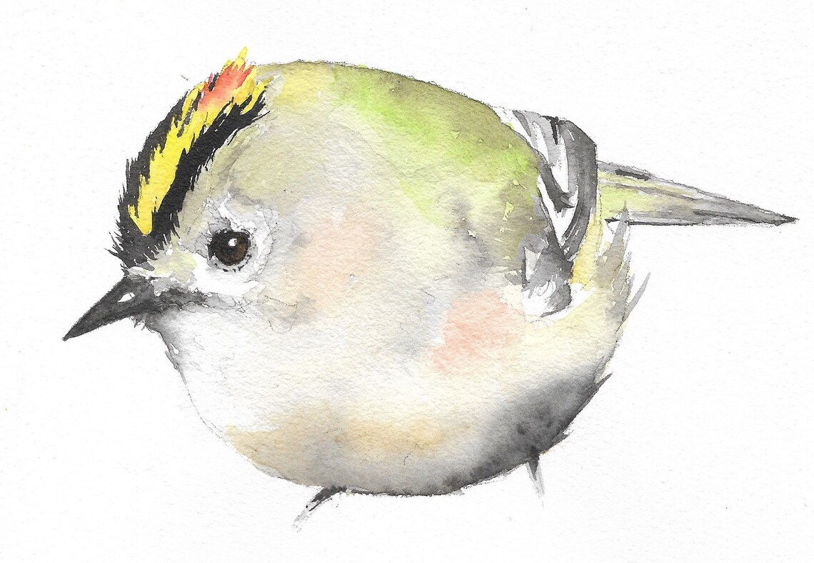 Watercolour Painting // Goldcrest I // 11 X 7.5 - Etsy