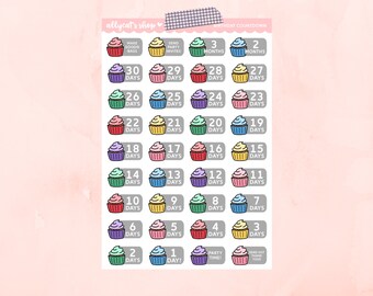 Graduation Countdown Planner Stickers, for Use With Erin Condren Life ...