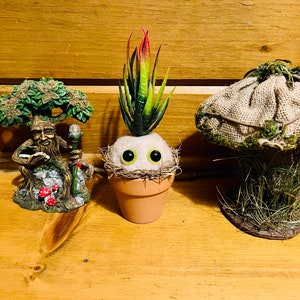 Handmade Needle Felted Potted Baby Mandrake Sprout - Etsy
