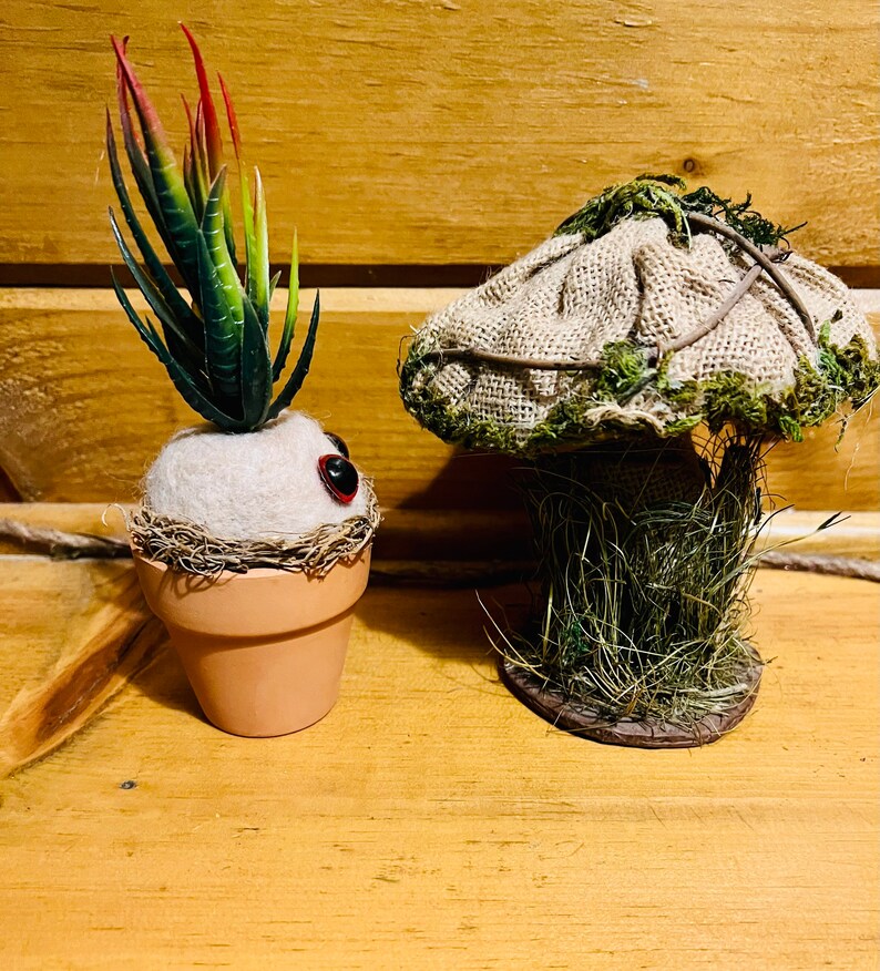 Handmade Needle Felted Potted Baby Mandrake Sprout - Etsy