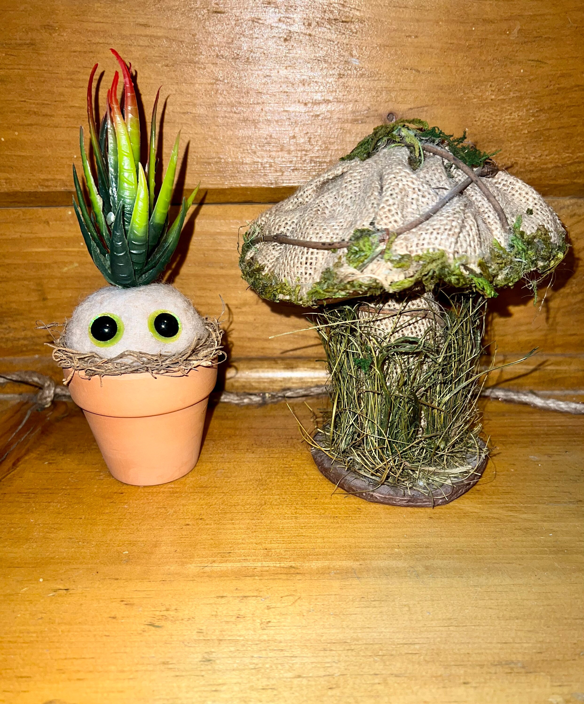 Handmade Needle Felted Potted Baby Mandrake Sprout - Etsy